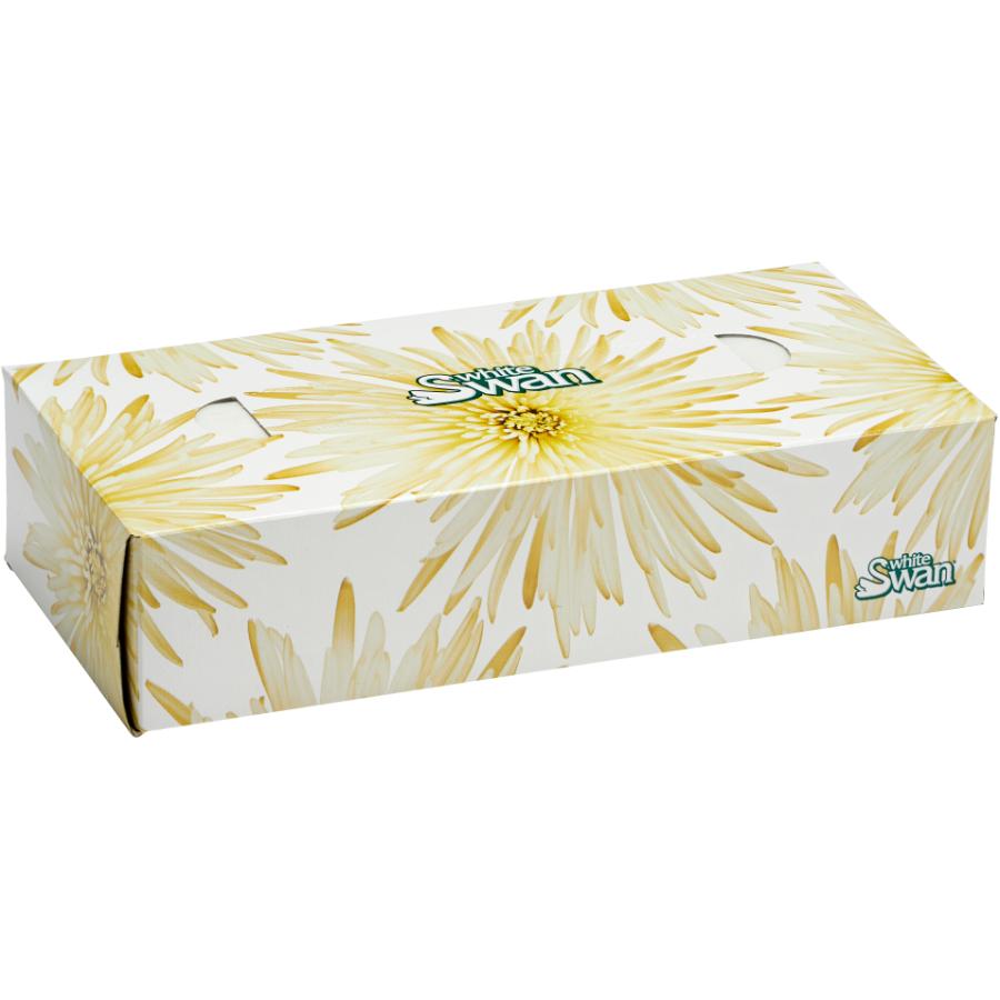 2 Ply Facial Tissue - 100 Sheets, 30 Boxes