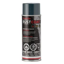 Shop for Rust Paint Online | Home Hardware