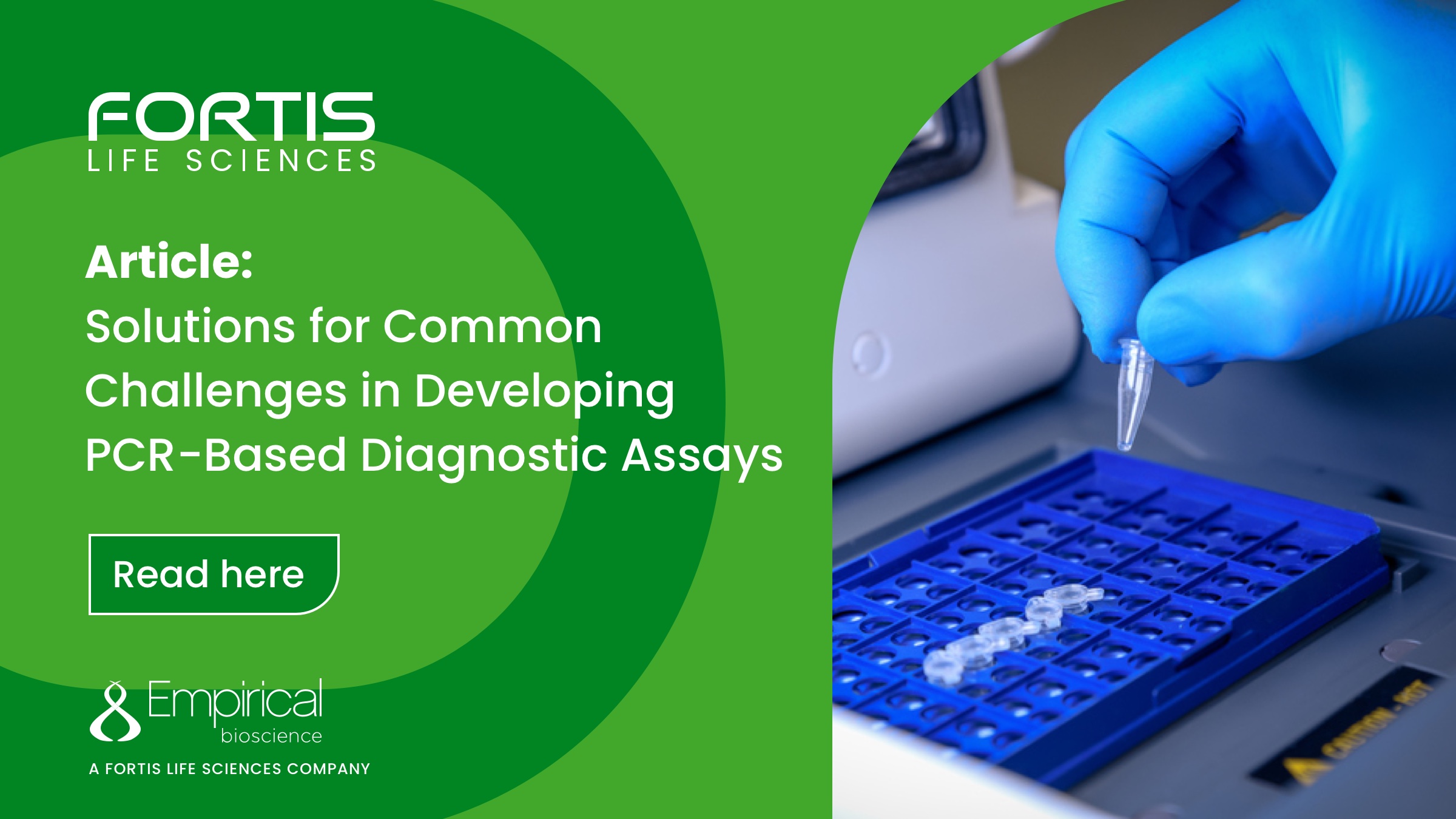 Solutions for Common Challenges in Developing PCR-Based Diagnostic Assays