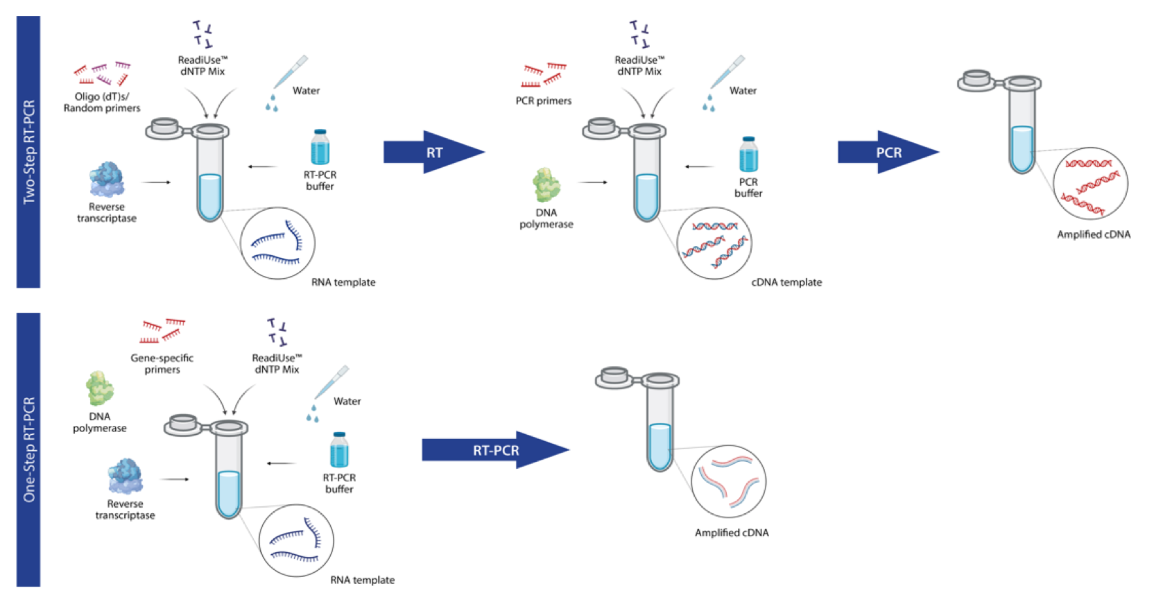 Solutions for Common Challenges in Developing PCR-Based Diagnostic Assays
