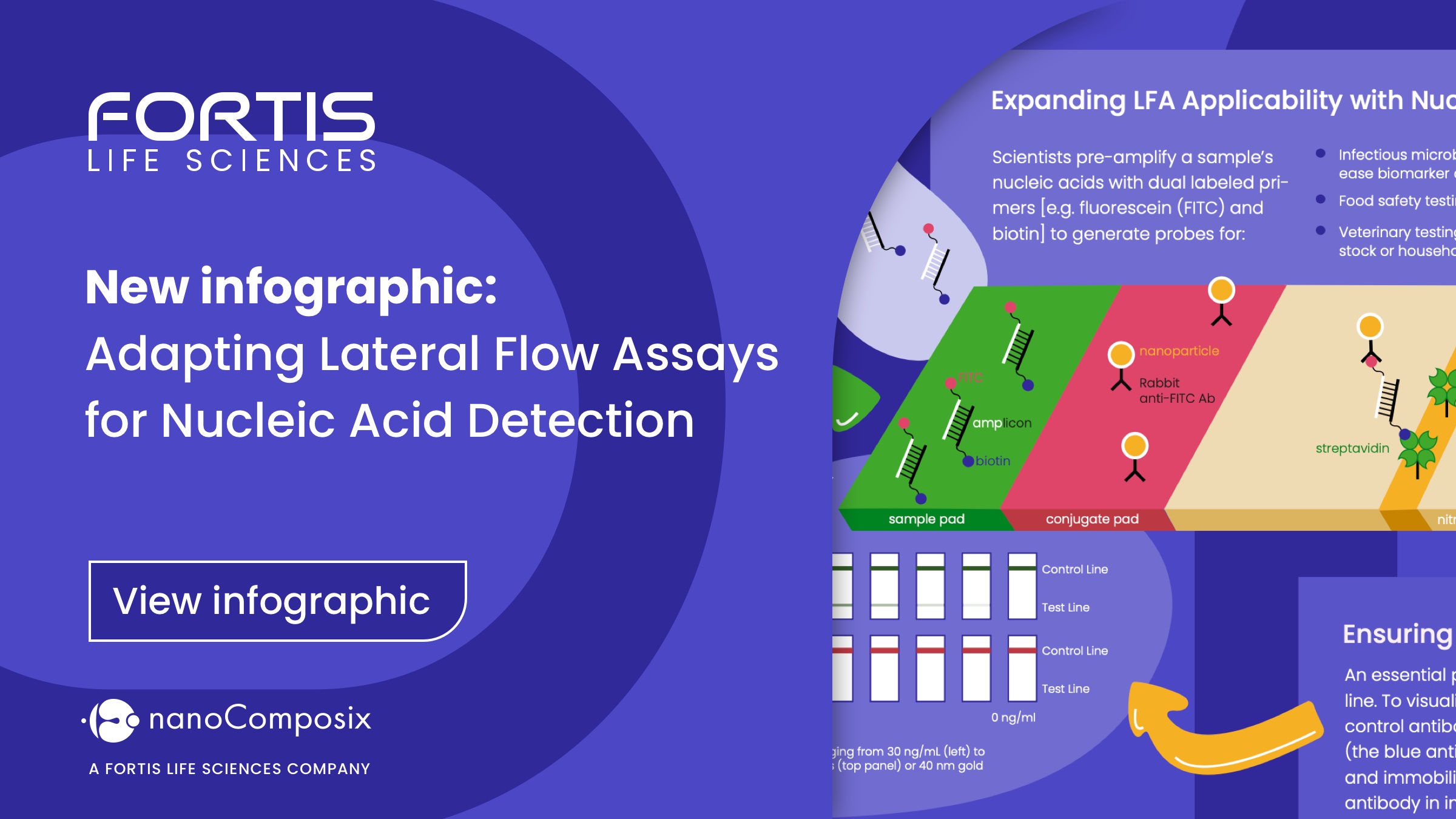 Infographic: Adapting Lateral Flow Assays for Nucleic Acid Detection