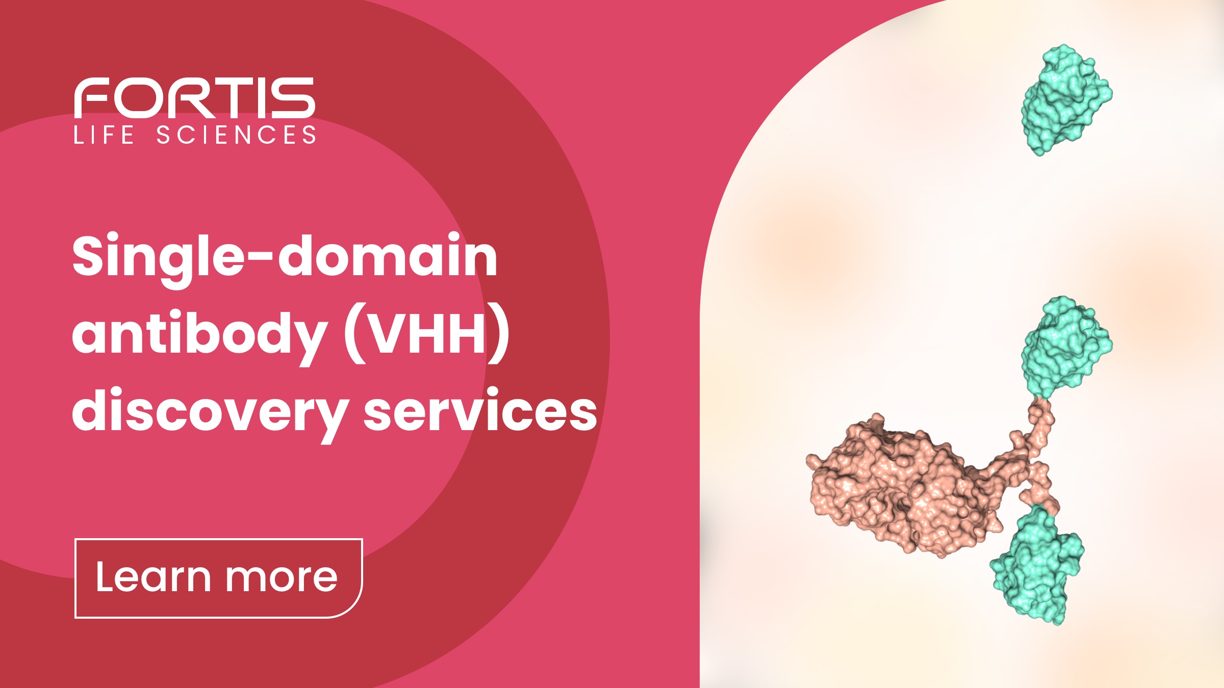 Fortis Life Sciences | Custom VHH Discovery Services