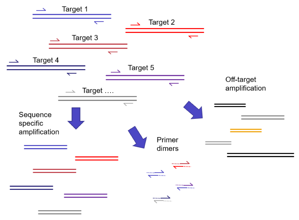 Solutions for Common Challenges in Developing PCR-Based Diagnostic Assays