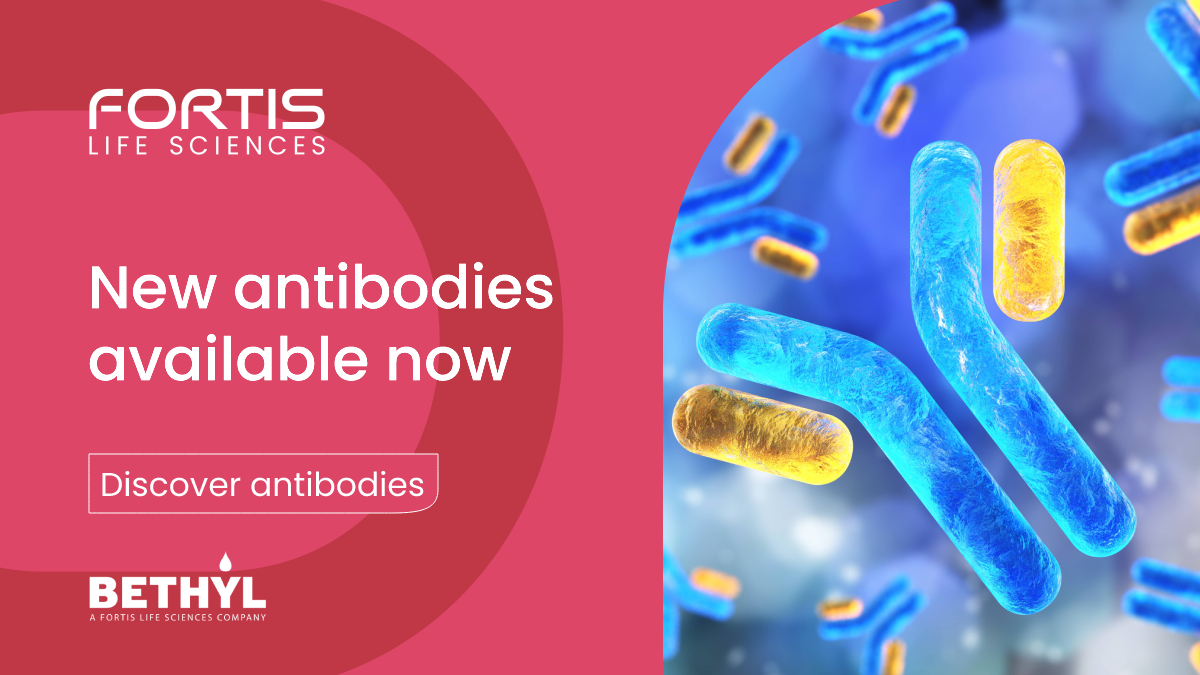 New Antibodies