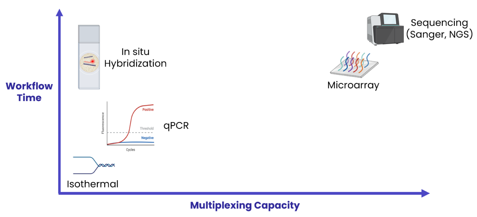 Solutions for Common Challenges in Developing PCR-Based Diagnostic Assays
