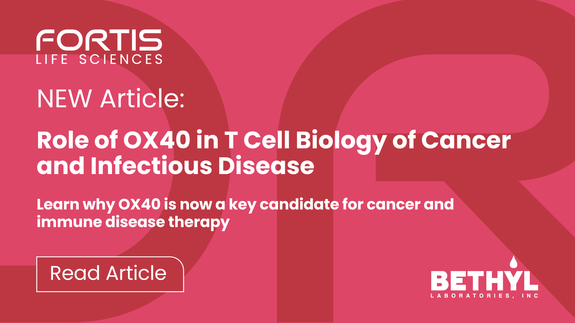 Role of OX40 in T Cell Biology of Cancer and Infectious Disease