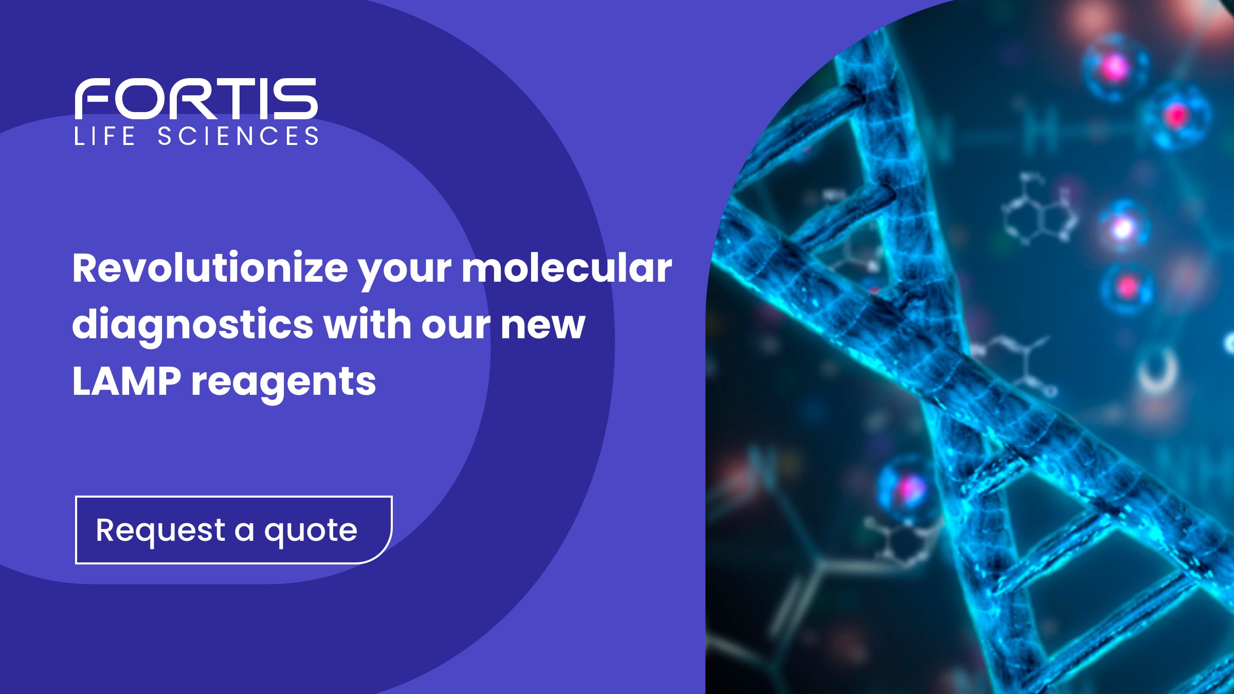 Loop-Mediated Isothermal Amplification (LAMP) Reagents