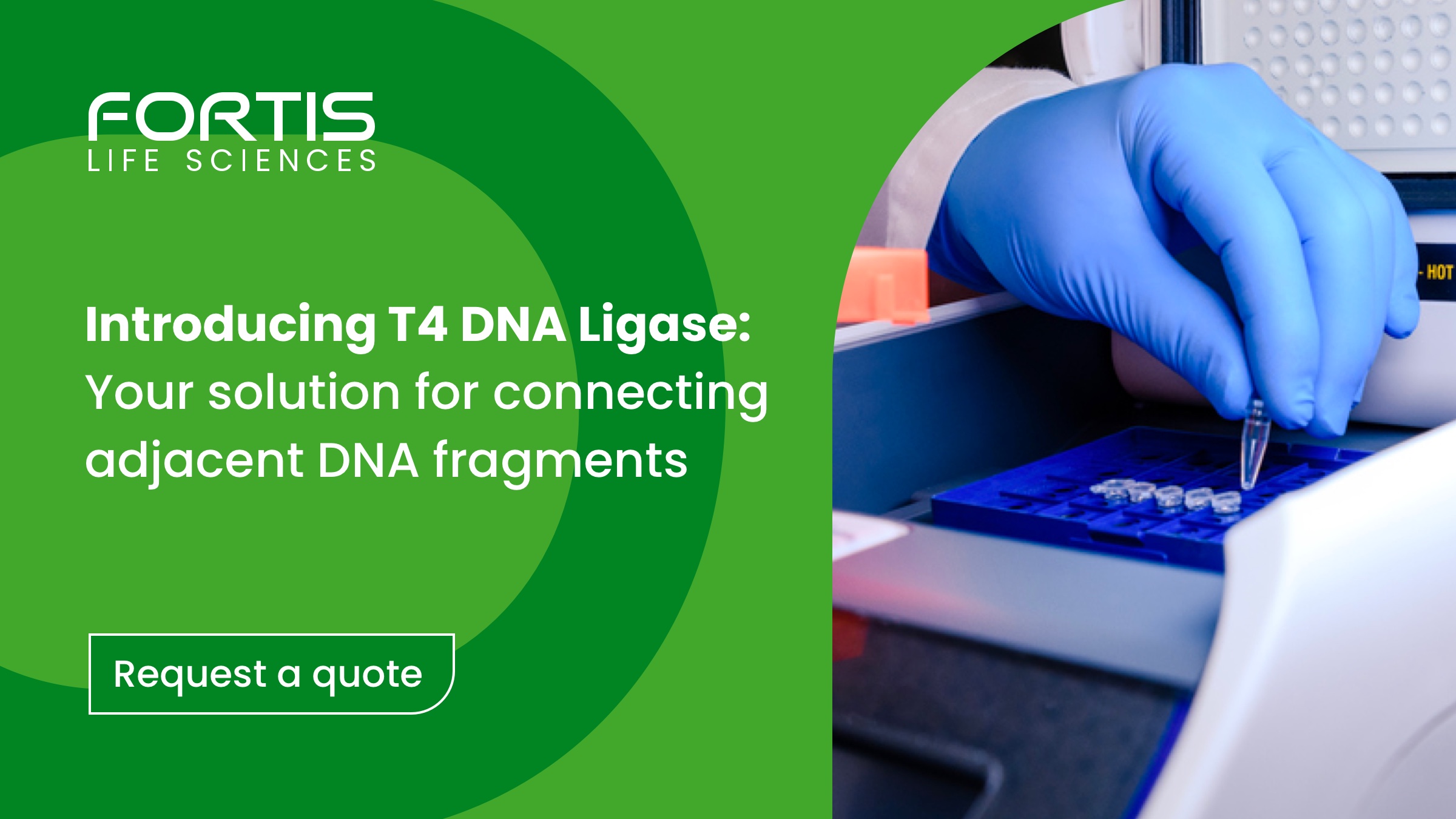 T4 DNA Ligase
